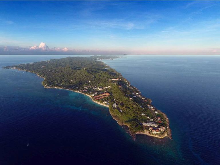 The discovery of Roatan Honduras and the Bay Islands — Coconut Tree
