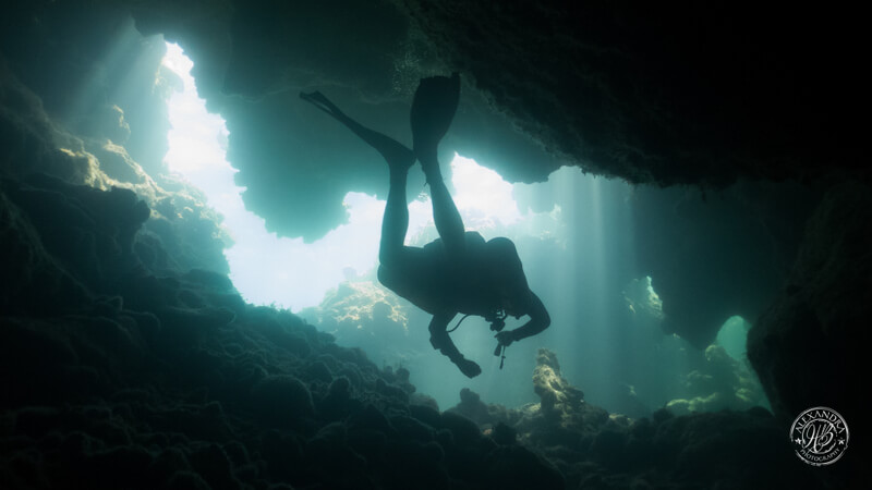 Specialty scuba diving trips in roatan! Join us - Coconut Tree Divers