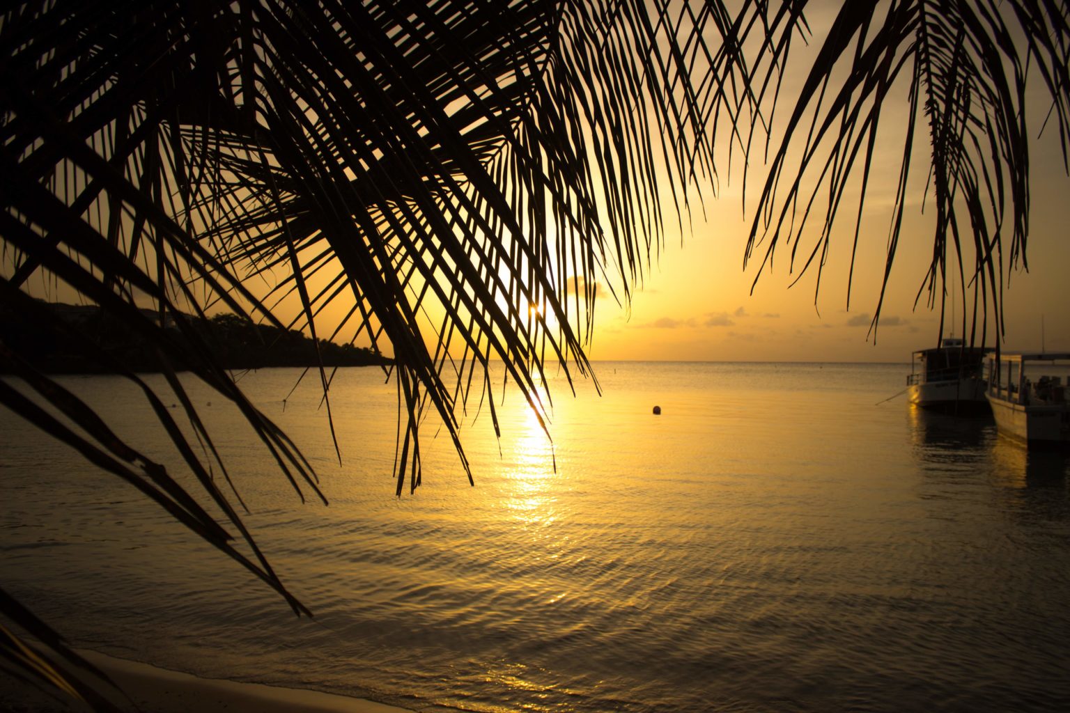 About Roatan - Coconut Tree Divers - Roatán Dive Shop - Honduras Scuba ...