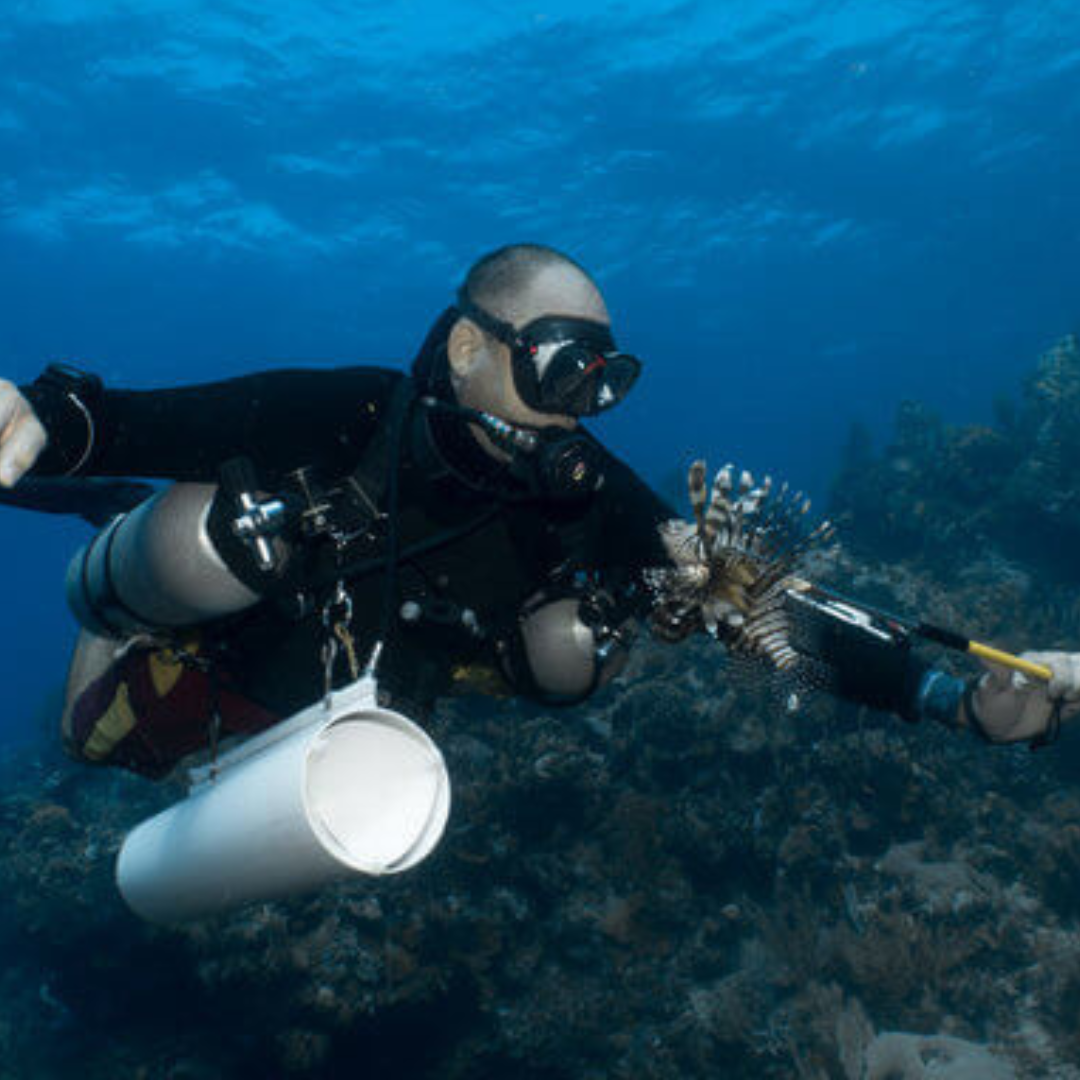 Specialty scuba diving trips in roatan! Join us - Coconut Tree Divers